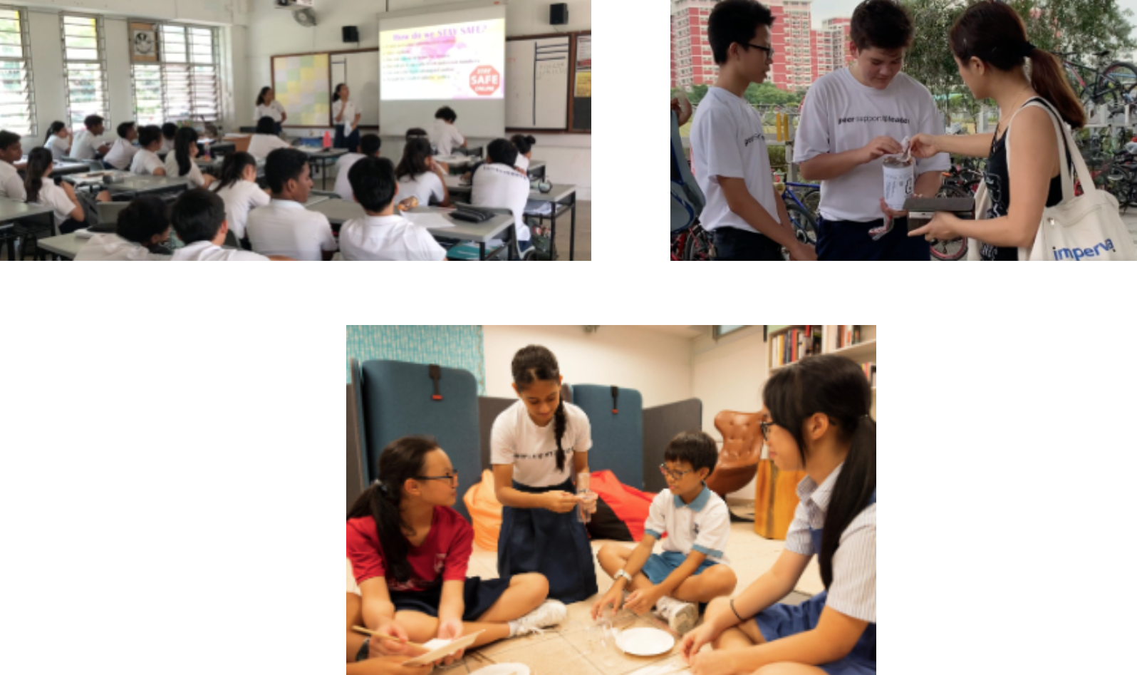 Peer Support Leaders